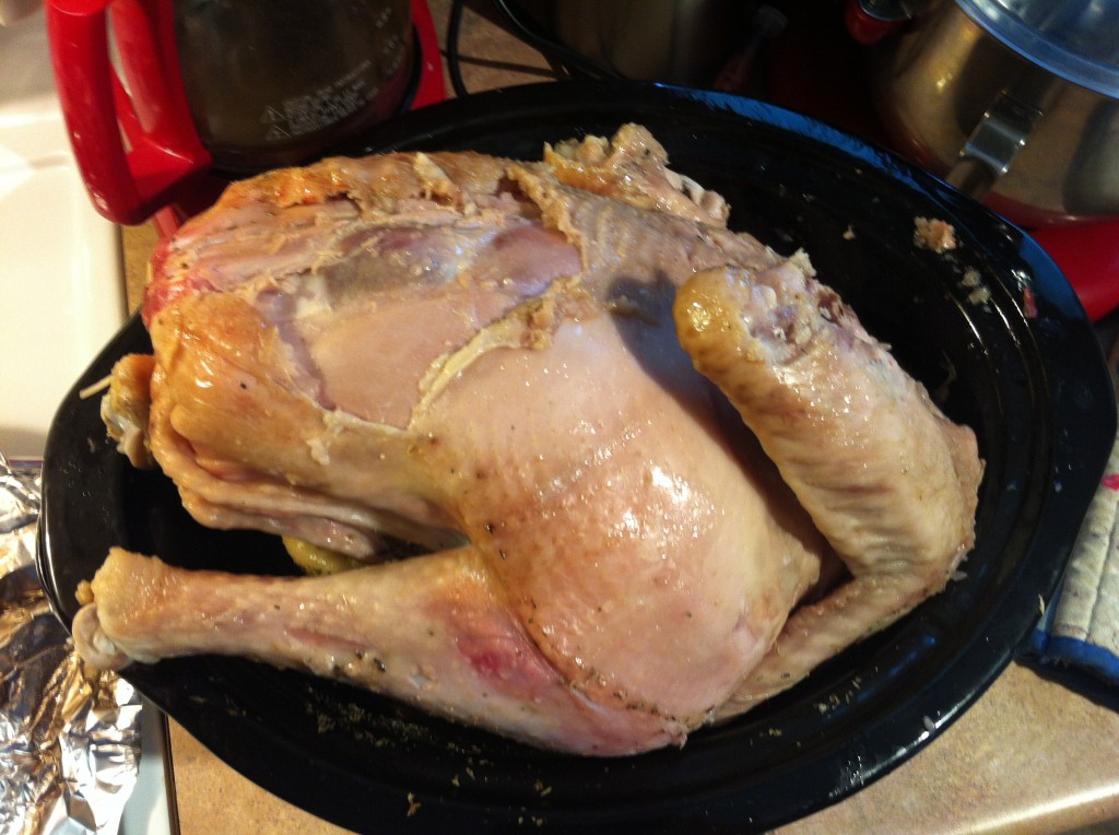 Year-Round Turkey – Classy Frugality